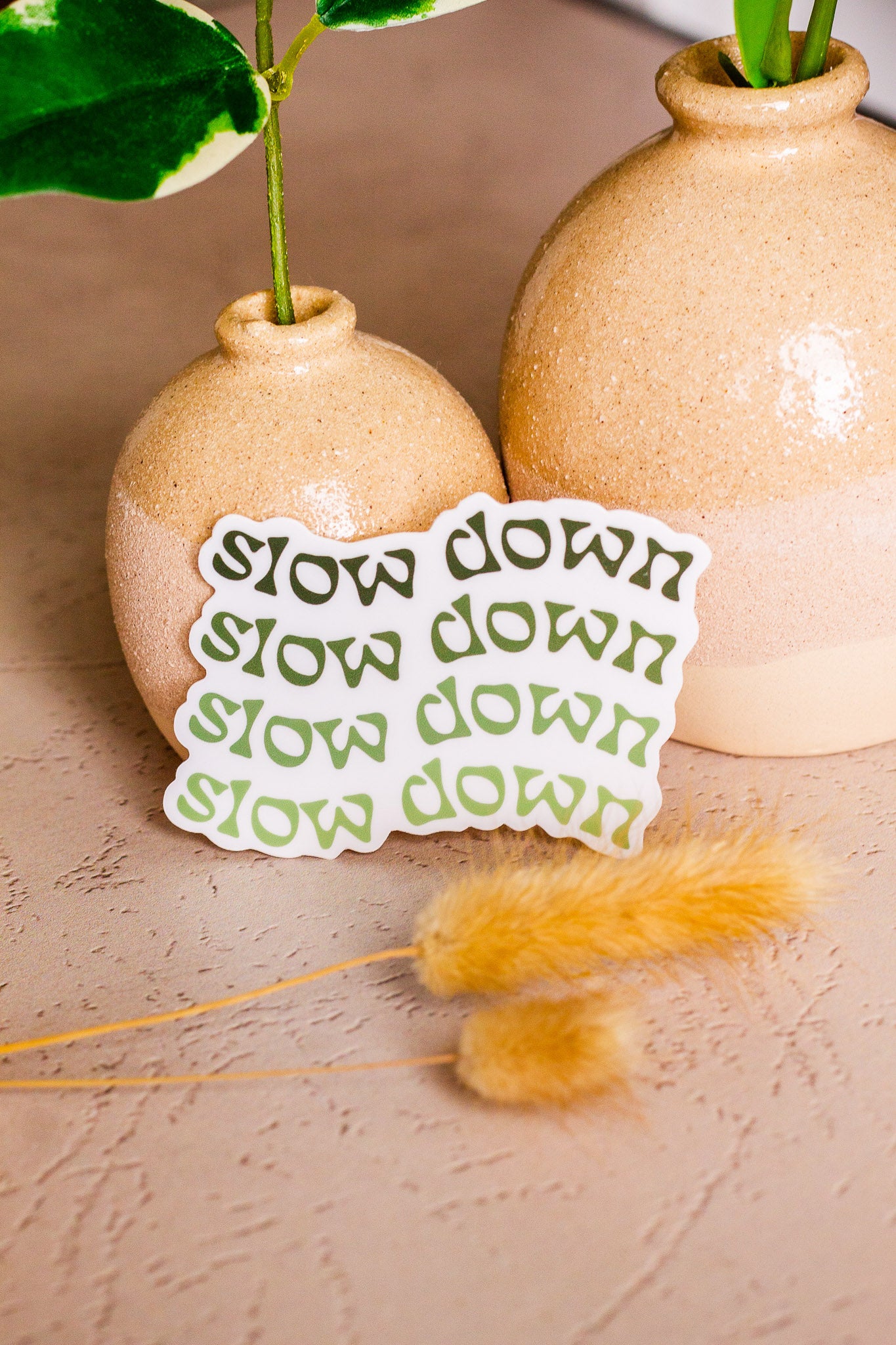Slow Down Sticker – The Print Pantry