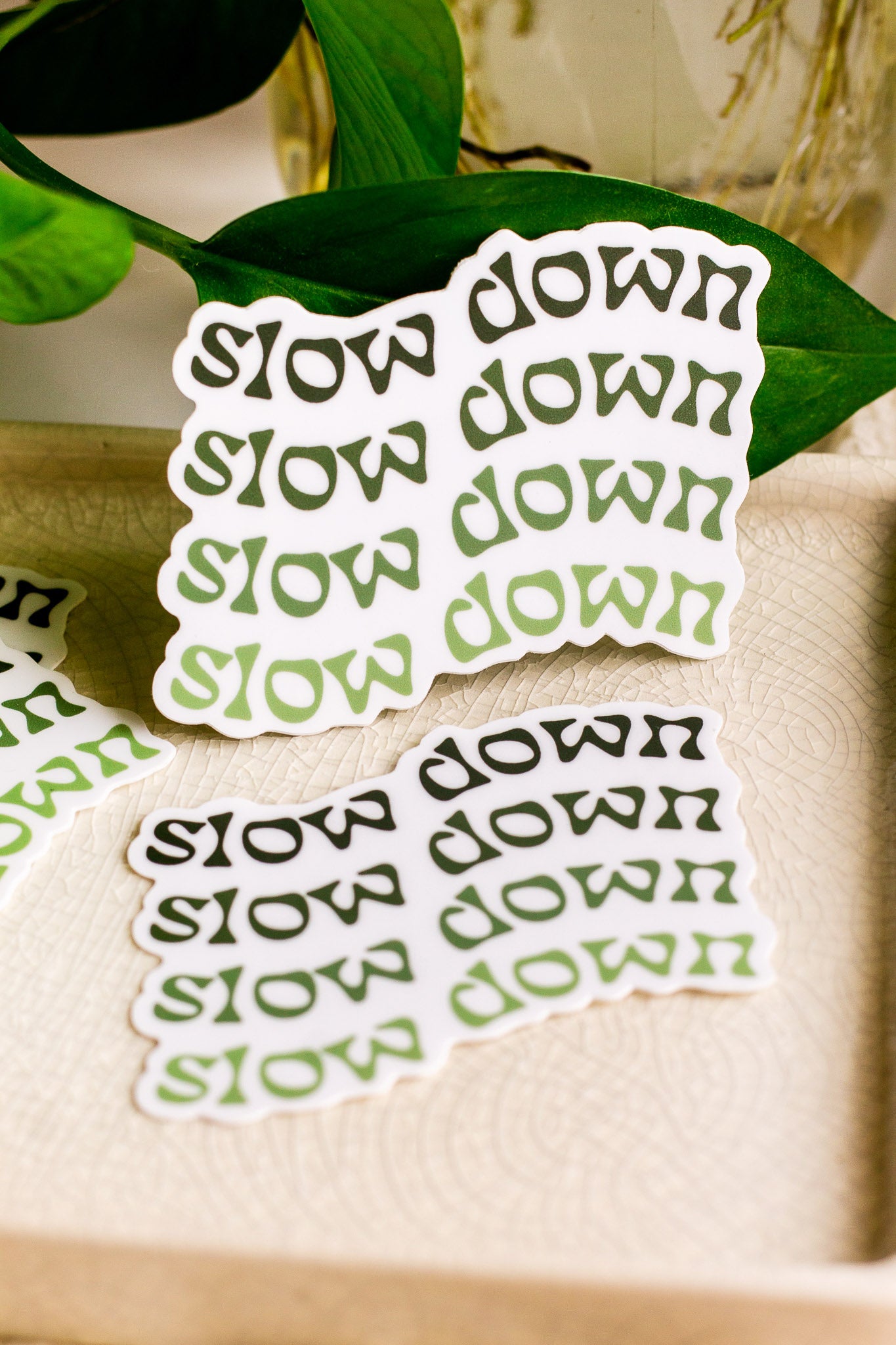 Slow Down Sticker – The Print Pantry